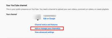 Blog vs Vlog: What You Should Pick In 2024 [Ultimate Guide]
