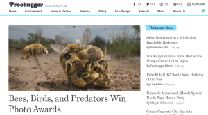 Top 20 Blog Examples of 2025 to Inspire & Learn As A Blogger