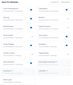 Astra Theme Review 2026: An Ideal Theme for Beginners?