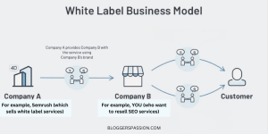 What is White Label SEO? Simple Guide to How It Works (2025)