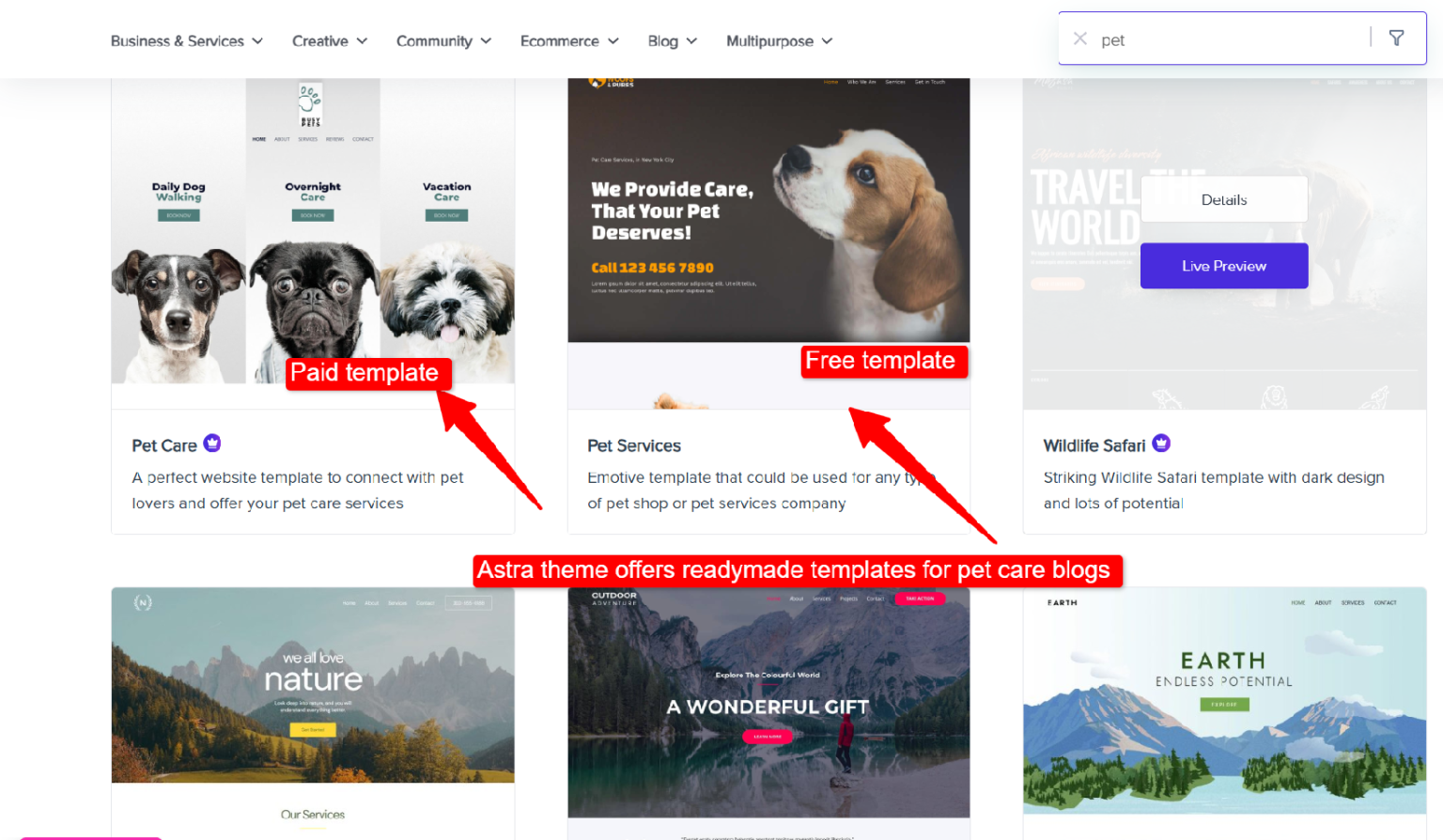 How to Start a Pet Care Blog Easily? [Live Tutorial 2025]